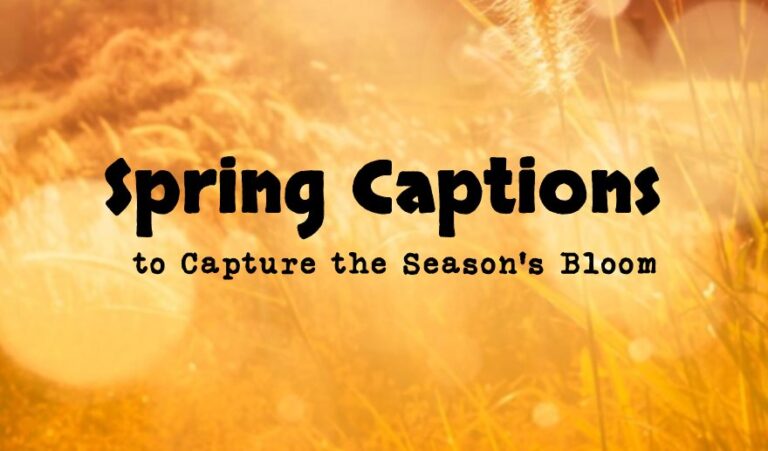 100 Spring Captions to Capture the Season's Bloom - Dreams Quote
