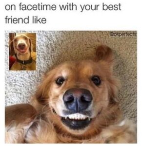 75+ Funny Friendship Memes To Share with Your Besties - Dreams Quote