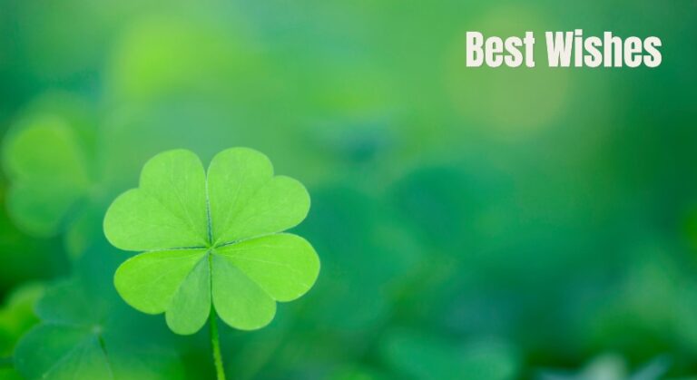 100+ Best Wishes Images: Quotes, Funny GIFs & Captions